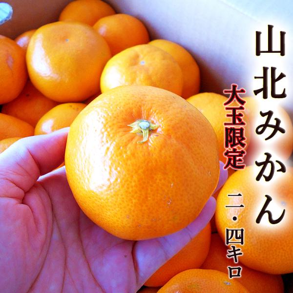 【名称】温州みかん【内容量】約2.4キロ【サイズ】L〜２Ｌサイズ（大玉限定）【玉数】11玉〜16玉ほど【栽培方法】露地栽培【産地】高知県香南市香我美町【ご用途】ご家庭用です。若干きずなどございますが、美味しい生産者さんのみかんを厳選してお届...