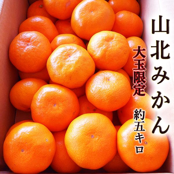 【名称】温州みかん【内容量】約５キロ【サイズ】２Ｌサイズ（大玉限定）【玉数】25玉〜31玉ほど【栽培方法】露地栽培【産地】高知県香南市香我美町【ご用途】ご家庭用です。若干きずなどございますが、美味しい生産者さんのみかんを厳選してお届けいたし...