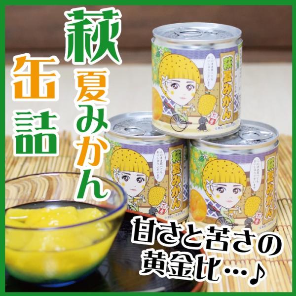 山口県萩市の名物・夏みかん果肉のシロップ漬けです。贅沢に、萩の夏みかんだけを使用しています。シロップ漬けとはいえ、夏みかん特有のほろ苦さもしっかり残っており、大人の方でも美味しくいただけます。食感もしっかり残っており、食べ応えもありますよ。...