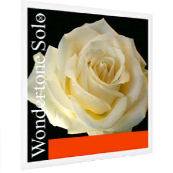 ピラストロ バイオリン 弦 A Wondertone Solo 312221 ワンダートーン ソロ A線 スチール / アルミ PIRASTRO。※商品画像はサンプルになります。詳しくは商品説明をご参照下さい。  ・モダンなシンセティックコ...