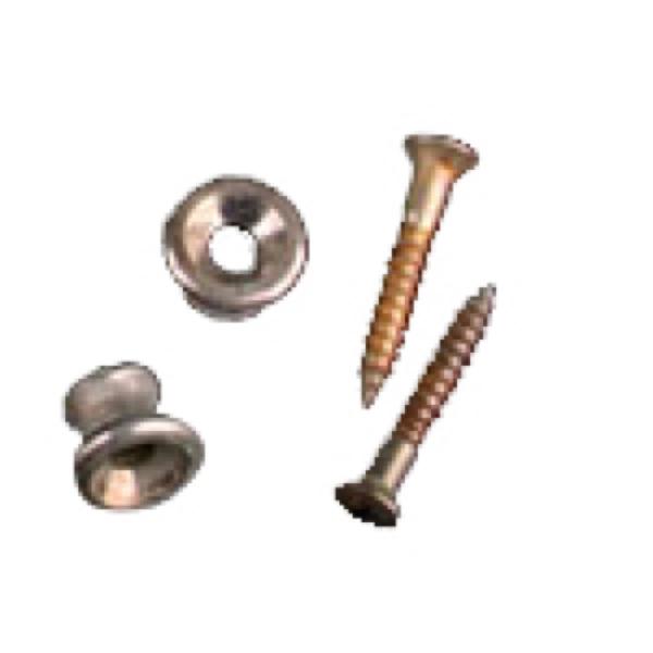 アールエス ギターパーツ レスポール ストラップピン LG-EP AGED PARTS for LP-Type RS。RSのエイジドパーツです。レスポールタイプ エレキギター用のストラップピンです。