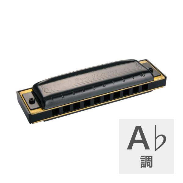 ホーナー ハーモニカ HOHNER Pro Harp MS X 562/20MSX A♭ 10ホールハーモニカ ブルースハープ ブルースハーモニカ ※商品の性格上、不良品以外の返品および交換はお受け出来ません。お間違いの無いようご確認の上、...