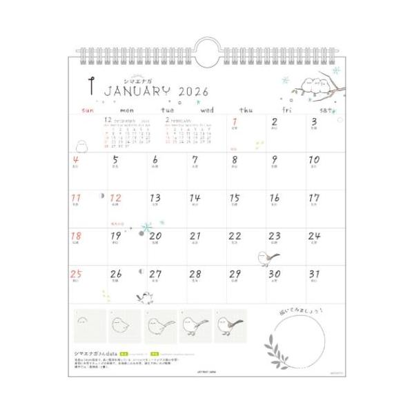 「動物/アニマル」 壁掛けカレンダー2026年 かわいいとりの描き方 BIRDSTORY 2026Calendar APJ 30角 スケジュール 令和8年暦 可愛い鳥さんのイラストの描き方を学べるカレンダー 鳥さんをモチーフにしたイラストや...