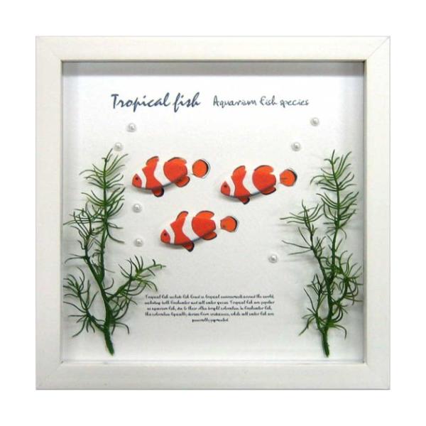 「取寄品」 「インテリアパネル」 額装品 アクアフレーム Aqua Frame Clow Fish 22×22×2cm 額装品 ギフト 装飾 涼しげで可愛い水槽のようなアートフレーム 熱帯魚をイメージしたミニフレーム。水槽がなくても飾れます...