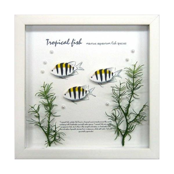 「取寄品」 「インテリアパネル」 アクアフレーム Aqua Frame 額装品 Sergeant Major インテリア ギフト 装飾 涼しげで可愛い水槽のようなアートフレーム 熱帯魚をイメージしたミニフレーム。水槽がなくても飾れます。小さ...