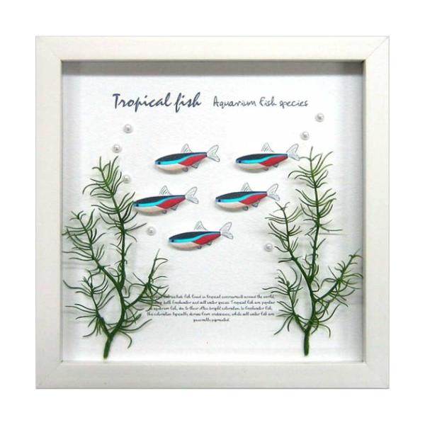 「取寄品」 「インテリアパネル」 アクアフレーム 額装品 Aqua Frame Neon Tetra 美工社 22×22×2cm 額装品 涼しげで可愛い水槽のようなアートフレーム 熱帯魚をイメージしたミニフレーム。水槽がなくても飾れます。小...