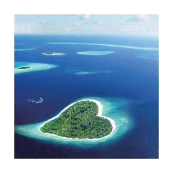 「取寄品」 「写真・フォトアート」 プチ キャンバスアート 写真 アート Petit Canvas Art ハートアイランド 美工社 30×30×2.5cm たくさん飾って楽しいお手軽アート フレームがついていない為軽く、届いてすぐにどこに...