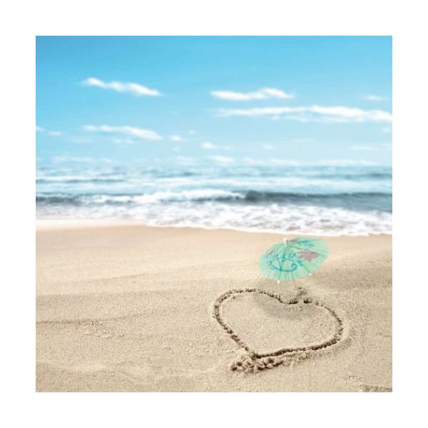 「取寄品」 「写真・フォトアート」 プチ キャンバスアート 写真 アート ギフト 装飾 インテリア Petit Canvas Art ハートビーチ 美工社 たくさん飾って楽しいお手軽アート フレームがついていない為軽く、届いてすぐにどこにで...