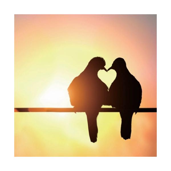 「取寄品」 「写真・フォトアート」 プチ キャンバスアート インテリア 写真 アート Petit Canvas Art ハートピジョン ギフト 装飾 美工社 たくさん飾って楽しいお手軽アート フレームがついていない為軽く、届いてすぐにどこに...