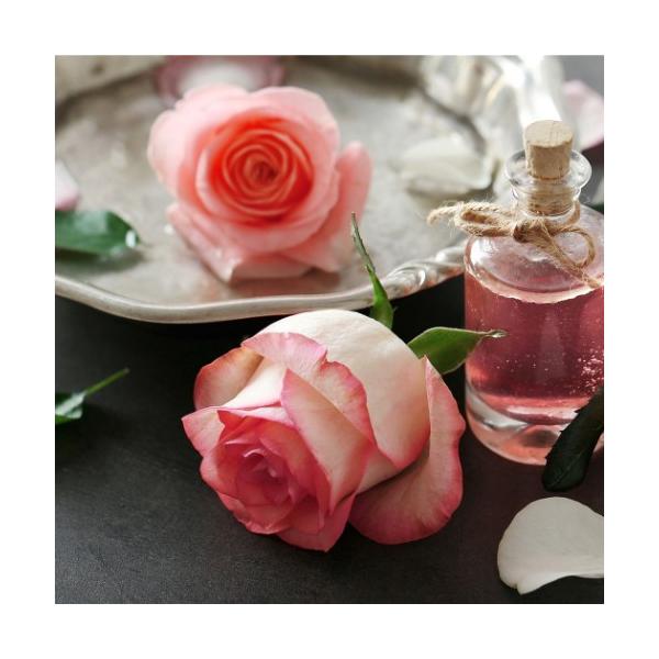 「取寄品」 「写真・フォトアート」 プチ キャンバスアート インテリア 写真 アート Petit Canvas Art バラの香り ギフト 装飾 たくさん飾って楽しいお手軽アート フレームがついていない為軽く、届いてすぐにどこにでも簡単に飾...