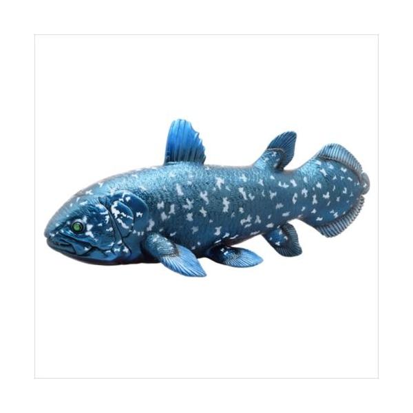 「フィギュア」 恐竜 古代魚 フィギュア ビッグサイズフィギュア ソフトビニールモデル シーラカンス 玩具 グッズ フェバリット 遊べる 古生物 生きた化石として知名度の高い古代魚 やわらかなソフトビニール素材を使用した 軽くて丈夫なガシガ...