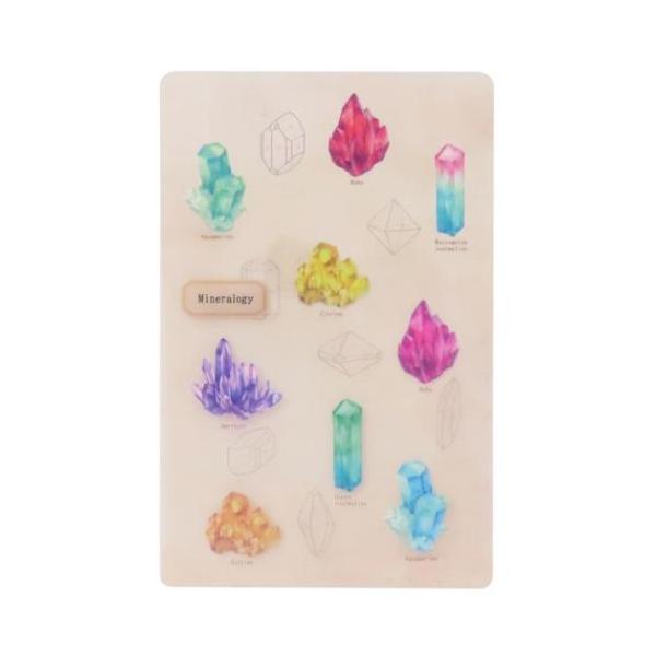 「ステーショナリーその他」 しおり STUDY HOLIC クリアブックマーク 鉱物学 Green Flash 読書 文庫本 スタディホリックシリーズは「学び」がテーマのステーショナリー 未知なる世界を知るワクワク感を届け、あなたの知的好奇...