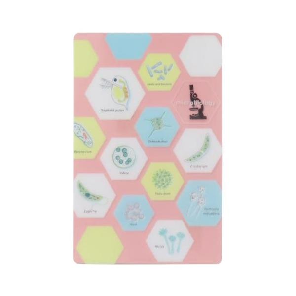 「ステーショナリーその他」 しおり STUDY HOLIC クリアブックマーク 微生物学 Green Flash 読書 文庫本 スタディホリックシリーズは「学び」がテーマのステーショナリー 未知なる世界を知るワクワク感を届け、あなたの知的好...