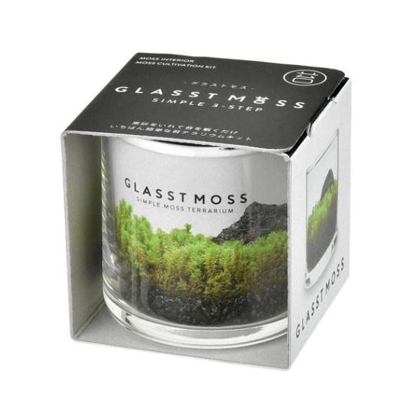 「インテリア雑貨その他」 栽培キット グラストモス S 聖新陶芸 苔テラリウム 手軽にコケテラリウムをスタート こちらはお部屋で手軽に栽培が楽しめる[GLASSTMOSS/グラストモスS]苔テラリウムは作るのもお手入れするのも難しいと思って...