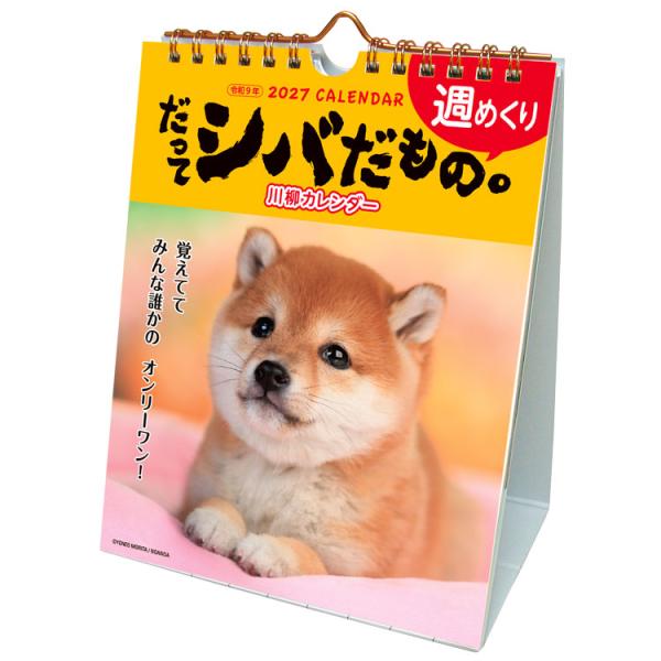 【発売日：2026年09月05日】「はなデカ倶楽部」でお馴染の写真家・森田米雄氏が長年にわたって撮りためた柴犬の「変顔」や「ほのぼの」 写真を集めました。川柳とのマッチングで写真をよりいっそう引き立たせた、柴犬の魅力満載の週めくりカレンダー...