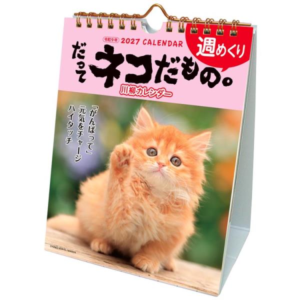 【発売日：2026年09月05日】「はなデカ倶楽部」でお馴染の写真家・森田米雄氏が長年にわたって撮りためた猫の「変顔」や「ほのぼの」 写真を集めました。川柳とのマッチングで写真をよりいっそう引き立たせた、猫の魅力満載の週めくりカレンダーです...