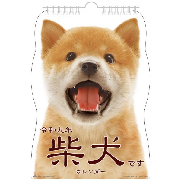 【発売日：2026年09月05日】「柴犬とずっと一緒にいるような気持ちになれる」がコンセプト。顔がアップになっている月は、ほぼ等身大の柴犬の大きさです。可愛い柴犬の色んな表情や姿をお楽しみ下さい。サイズ：約178x253mm（13枚つづり）...