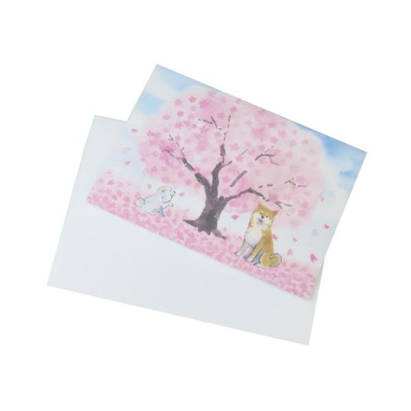 「グリーティングカード」 グリーティングカード しばいぬと春 メッセージカード 桜 封筒付き 贈ってももらっても楽しいグリーティングカード しばいぬシリーズでこれまでなかったシンプルな二つ折りの春のポップアップカードです。桜柄は満開の桜の表...