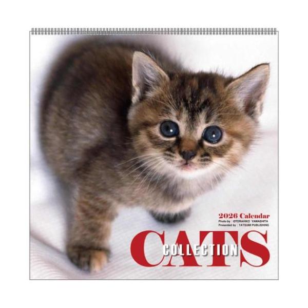 「猫/キャット」 2026Calendar 辰巳出版 Cats Collection 山下寅彦 壁掛けカレンダー2026年 ねこ スケジュール 動物写真 書き込み 人気写真家 山下寅彦の壁掛けカレンダー 20年以上も続くロングセラー 人気写...