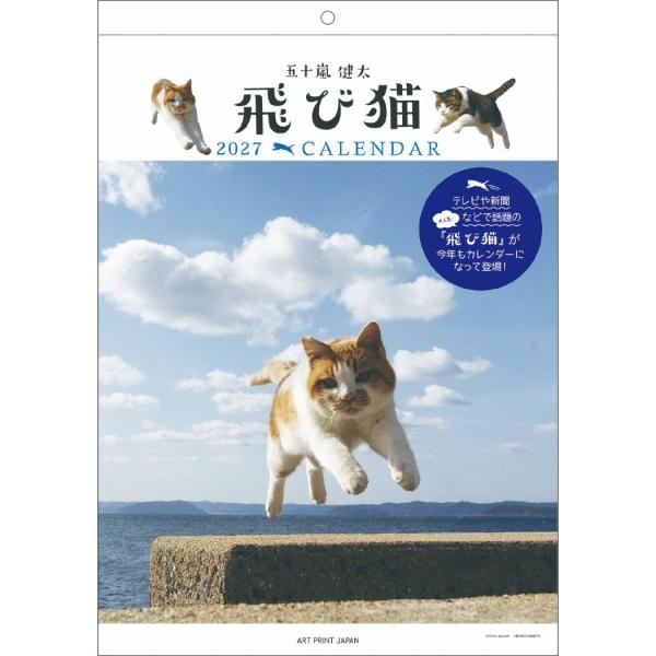 【発売日：2026年09月03日】猫がジャンプする瞬間をとらえた飛び猫たちの2026年カレンダー<br>カレンダーにはスケジュールも書き込めるので使い勝手もGOOD<br><br>サイズ：260x370m...
