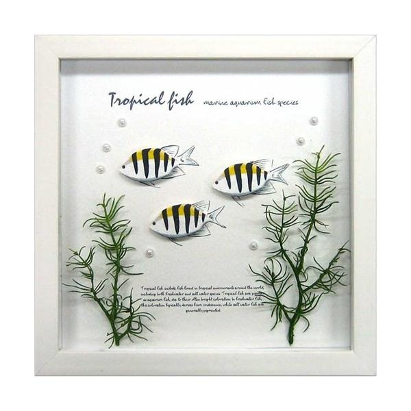 「取寄品」 「インテリアパネル」 アクアフレーム Aqua Frame 額装品 Sergeant Major インテリア ギフト 装飾 涼しげで可愛い水槽のようなアートフレーム 熱帯魚をイメージしたミニフレーム。水槽がなくても飾れます。小さ...