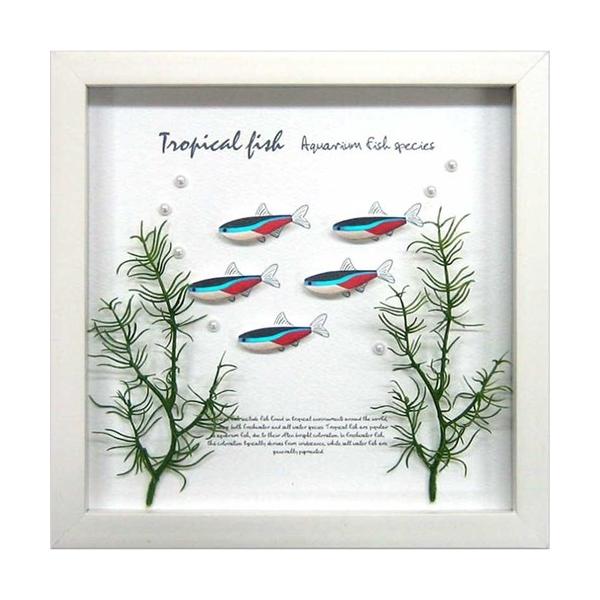 「取寄品」 「インテリアパネル」 アクアフレーム 額装品 Aqua Frame Neon Tetra 美工社 22×22×2cm 額装品 涼しげで可愛い水槽のようなアートフレーム 熱帯魚をイメージしたミニフレーム。水槽がなくても飾れます。小...