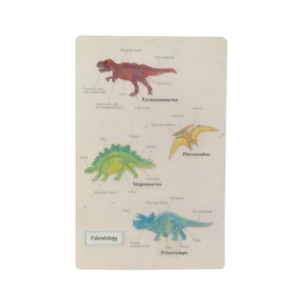 「ステーショナリーその他」 しおり STUDY HOLIC クリアブックマーク 古生物学 読書 文庫本 スタディホリックシリーズは「学び」がテーマのステーショナリー 未知なる世界を知るワクワク感を届け、あなたの知的好奇心をくすぐる[STUD...