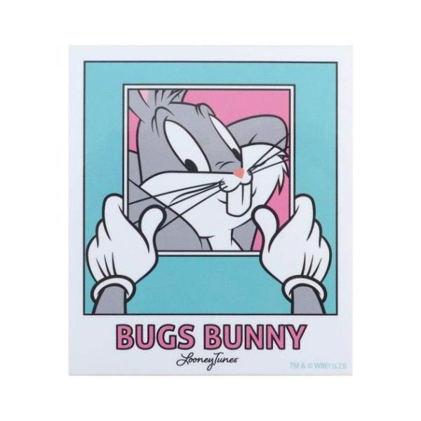 「ステッカー：キャラクター」 ルーニーテューンズ ダイカットシール キャラクターステッカー 写真 LOONEY TUNES スモールプラネット 車やバイク、カバンやステーショナリーなどいろんなトコに… 大人気[LOONY TUNES/ルーニ...