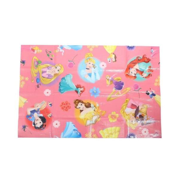 「レジャーシート」 ディズニープリンセス キャラクター ピクニック用品 レジャーシートS 1-2人用 S3 持ち運びに便利なチャック袋に入ったレジャーシート 大人気ディズニーキャラクターグッズにまたまた可愛いnewアイテム登場こちらは遠足な...