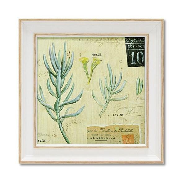 「取寄品」 「カフェ風インテリア」 セネシオ  ボタニカル 額付きポスター アートポスター 額付 カフェ インテリア インテリア グッズ ミニARTでインテリアにプラスアクセント。 サイズもプライスもミニでお手軽な「ミニゲルアート」絵の表面...