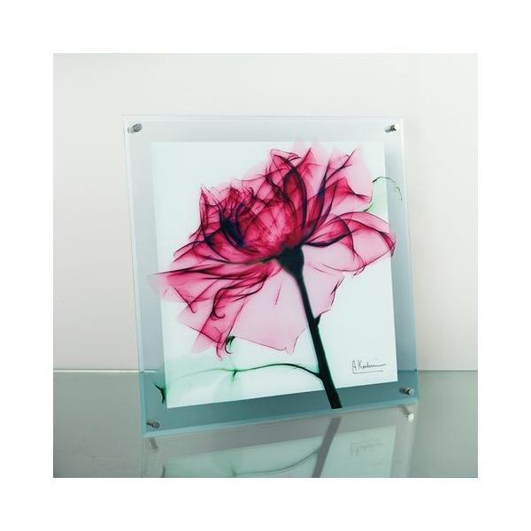 「取寄品」 「フラワーアート」 フラワー アート ガラスアート X RAY ティールローズ Mサイズ ユーパワー 30×30cm お洒落 フォト インテリア 雑貨 繊細で不思議な質感・・・ クリアなガラスのプレートに、透明感のあるレントゲン...