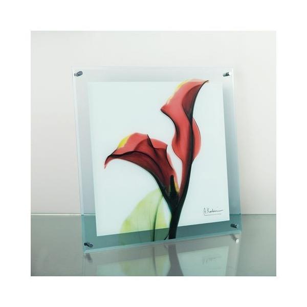 「取寄品」 「フラワーアート」  ガラスアート X RAY カラーレッド Mサイズ フラワー アート インテリア 雑貨 ユーパワー 30×30cm お洒落 フォト 通販 繊細で不思議な質感・・・ クリアなガラスのプレートに、透明感のあるレン...