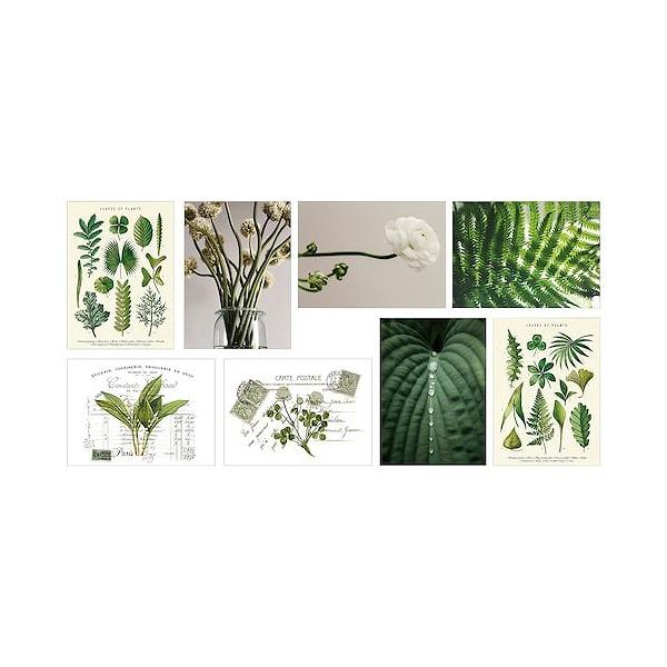 商品サイズ幅: 13cm高さ: 18cmパッケージ個数: 8 ピース素材: ペーパーお手入れ方法:はたきでホコリを払ってください台紙のない13x18cmフレーム、または13x18cmの台紙付き21x30cmフレームに対応たとえアーティストで...