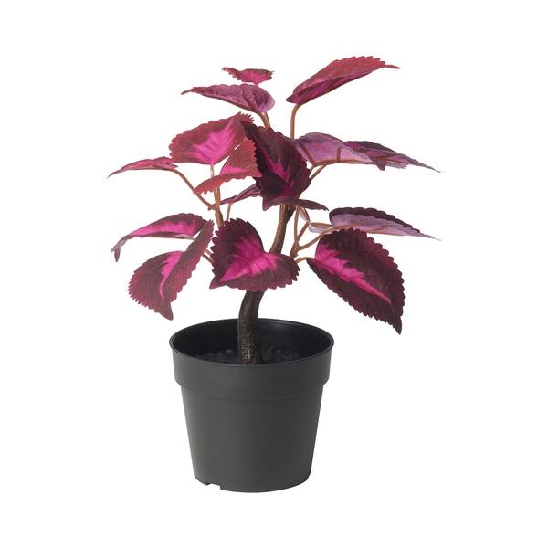 商品サイズ植木鉢の直径: 9cm植物の高さ: 23cm素材葉:ポリエステル 100%.. ポリエチレン . . .茎:ポリエチレン . . . 塗料内側の植木鉢:ポリプロピレン .. .お手入れ方法湿らせた布で水拭きしてください室内・屋外兼...