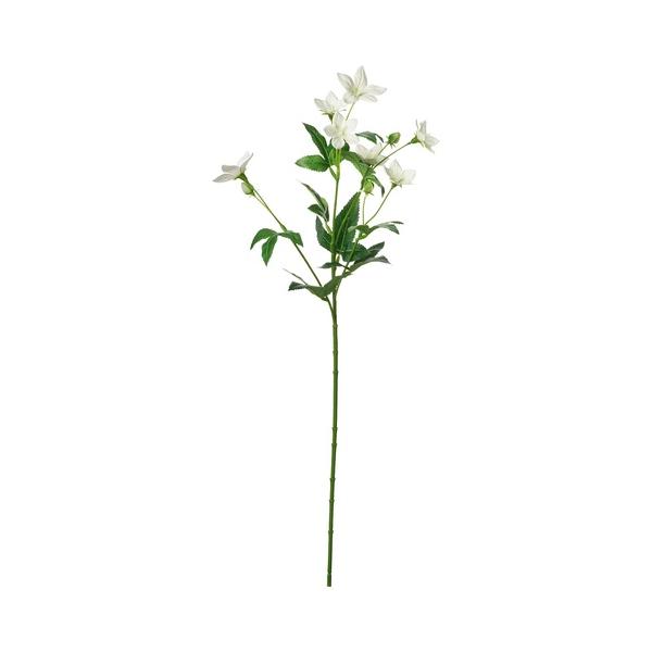 商品サイズ高さ: 60cm素材花:ポリエステル 100% ポリエチレン葉:ポリエステル 100% ポリエチレン茎:ポリエチレン スチールお手入れ方法きれいな布でから拭きしてください室内・屋外兼用毎日の暮らしに彩りと植物を！ 素材のプラスチッ...