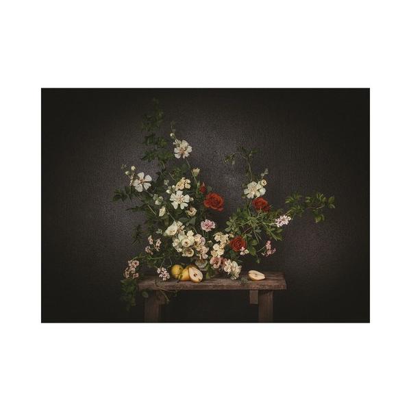 商品サイズ幅: 70cm高さ: 50cm素材ポスター:ポリエステル 100%内部フレーム:繊維板お手入れ方法はたきでホコリを払ってください壁に固定するためのネジは付属していません。 ALFTA アルフタ 粘着テープ付きフックを使用することを...