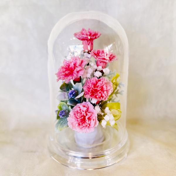 Lサイズというすこし大きめのドームの中に、ピンク色のカーネーションを中心に枯れないお花の花束を閉じ込めました。上品な仕上がりなのでどんなギフトにもお薦めです。母の日のプレゼントにうってつけのドームアレンジです。優しいピンク色は見ている人の心...