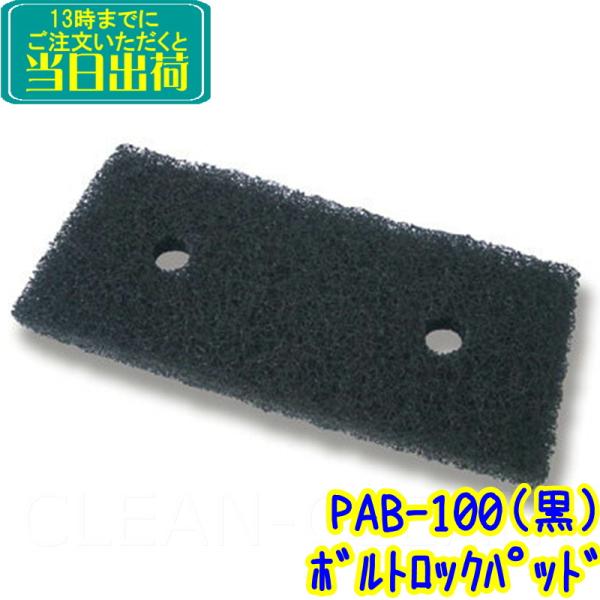 剥離用のパッドです。ボルトロックホルダー(本体)に取り付けて使用します。サイズ(cm):横25×縦11.5材質:ナイロンファイバー＋研磨剤