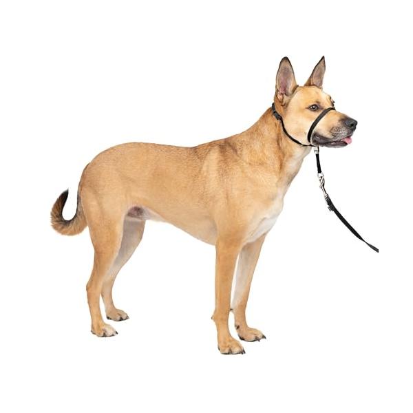 犬の本能を利用して引っ張りを抑えます：PetSafe（ペットセーフ）のジェントルリーダーは、犬のマズルに装着するタイプの引っ張り防止ヘッドカラー。リードを前方に装着することで、犬の「引かれる力と逆方向へ進もうとする衝動」を利用し、自然にひっ...