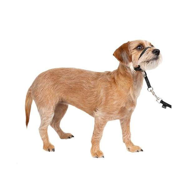 犬用ヘッドカラー (しつけ、訓練用具)【素材】プラスチック 金属 ナイロン【サイズ】[目安体重]2?10kg / [ノーズループ(全周)]?27cm / [ノーズループ(幅)]0.9cm / [ネックストラップ(全周)]?38cm /[ネッ...