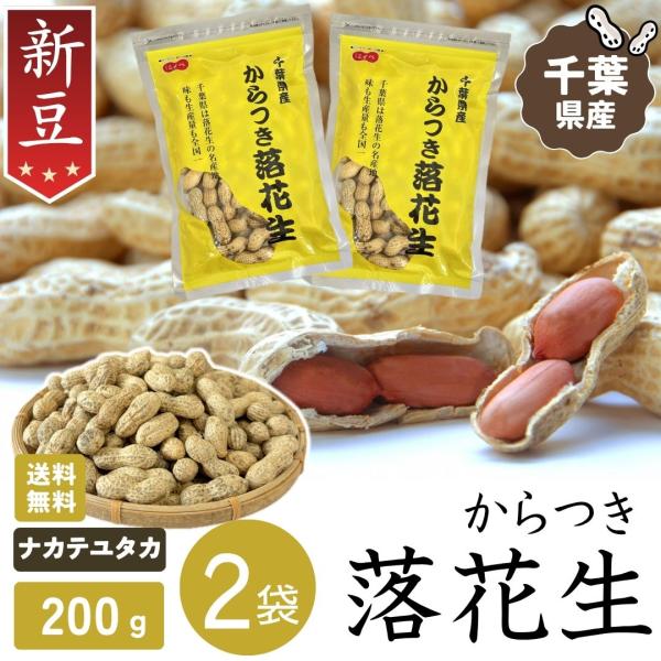 ＜商品名＞2025年 落花生 千葉県 新豆【2袋セット】200g 殻付き 【ナカテユタカ】 ＜ワード＞ピーナッツ 中手豊 国産 皮ごと 煎りざや 無添加 無着色 無塩 はせべ ちば ほぼ八街産 ナッツ ピーナツ ぴーなつ らっかせい おつま...