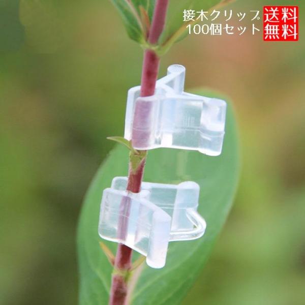 「トマトやナスの接ぎ木（接木）を、簡単・確実に固定したい」「病害虫（病害虫対策）に強い苗を作りたい」 そんなガーデニング（園芸）のニーズに応える、接ぎ木クリップ100個セットです。  ■簡単・確実な接ぎ木作業 台木と穂木を固定する専用クリッ...