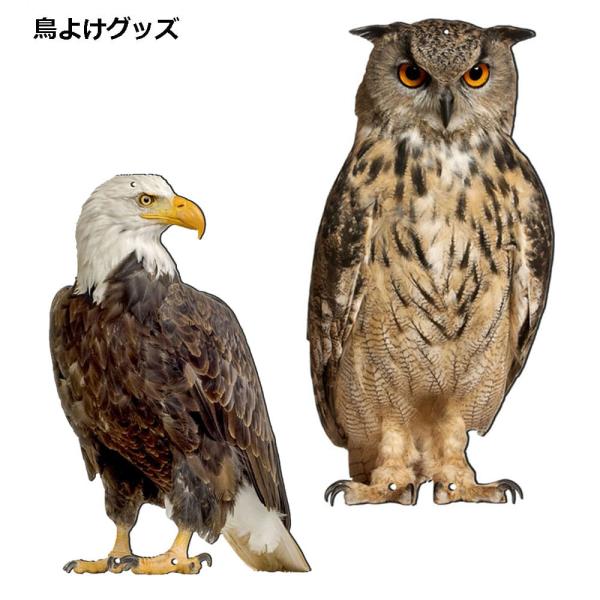 【商品説明】ベランダ、庭、バルコニーなど様々な場所に設置可能です。鳥よけグッズで、あなたのベランダや庭を鳥の被害から保護します。鳥のフンによる汚れや臭いを防ぎ、清潔な環境を保ちます。鳥による食害から植物を守り美しい庭を維持できます。【タイプ...