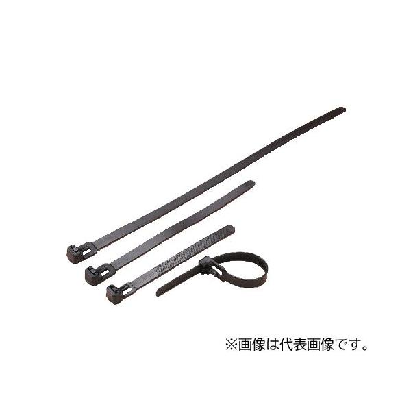 《総合賞受賞/18年連続ベストストア賞》 DIY・工具・道具類 固定具類 ヘラマンタイトン RF250 W 100本 RF250W 100本 ★★★---- 商品ご購入前に必ずご確認ください ----★★★※商品購入に関する重要なお報せを掲...