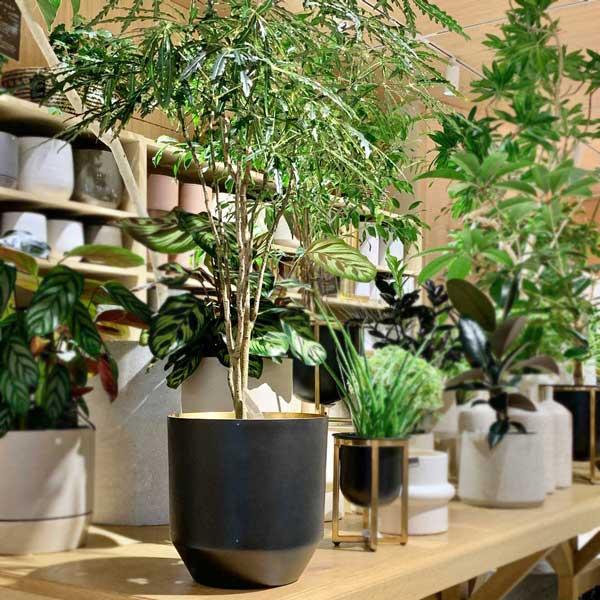 ポット 鉢 ガーデン グリーン 植物 黒 ブラック