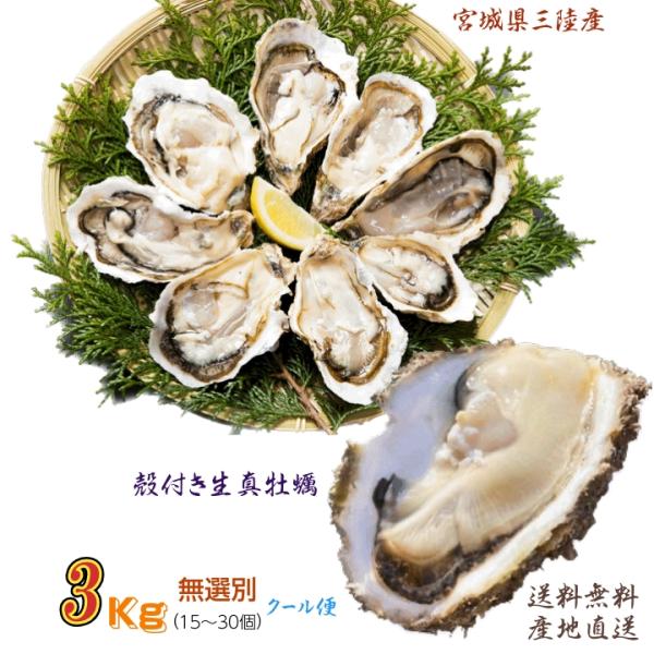 ■商品名:殻付き生牡蠣（無選別）■内容量: ３kg /箱（約１５個〜３０個）■生産地：宮城県牡鹿半島■保存方法：要冷蔵■用途：生食用■消費期限：生食の場合は発送日から4日間、加熱の場合は発送日から5日間、冷凍された場合は3ヶ月、解凍後2日以...
