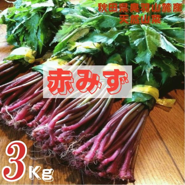【発売日：2026年05月24日】■商品名 天然山菜：赤みず（ウワバミソウ）■内容量 約３Kg /箱＊中身については、天然のため、その時期に取れる大・小混合サイズとなります。＊天然物ですので、天候、時期、自然環境等で収穫は変わります。ご了承...