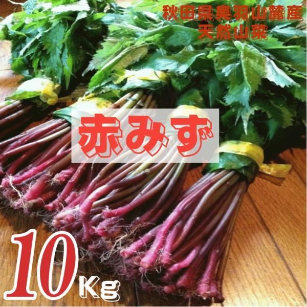 【発売日：2026年05月24日】■商品名 天然山菜：赤みず（ウワバミソウ）■内容量 約１０Kg /箱＊中身については、天然のため、その時期に取れる大・小混合サイズとなります。＊天然物ですので、天候、時期、自然環境等で収穫は変わります。ご了...