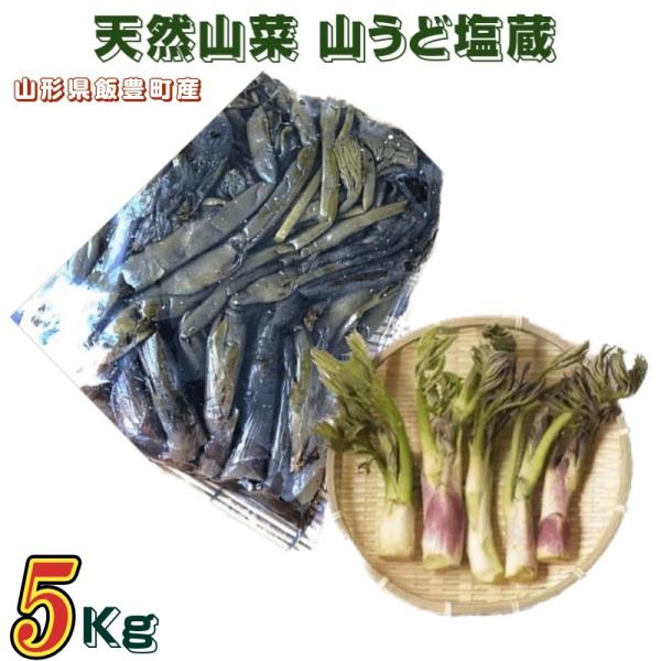 【発売日：2026年04月19日】☆☆☆☆☆天然山菜：山うど塩蔵　発売中☆☆☆☆☆〜　今、話題の大評判を頂いております！！■商品名 春の天然山菜：山うど塩蔵■内容量 約5Kg＊中身については、天然のため、その時期に取れる大・小混合サイズとな...