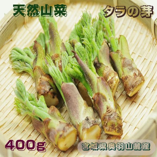 【発売日：2026年04月26日】予約受付期間：4月30日まで！■内容量 約４００g＊中身については、天然のため、その時期に取れる大・小混合サイズとなります。＊天然物ですので、天候、時期、自然環境等で収穫は変わりますのでご了承ください。　ま...